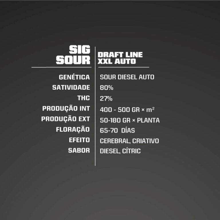 Comprar Sig Sour XXL Auto 【2026】